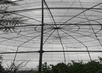 China Annapolis Stainless Steel Bird Aviary Wire Mesh Rhombus Shape Customizable Size for sale