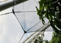 China Rhombus Stainless Steel Aviary Mesh Netting High Strength 2.0mm for sale