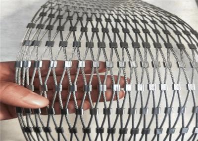 China Black Oxide Iron Stainless Steel Zoo Mesh Metal Mesh 2.5mm Customized Size for sale