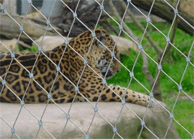 China Black Oxide Zoo Enclosure Mesh 1.2mm Knotted High Tensile Woven Wire Mesh Flexible for sale