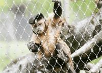 China AISI Zoo Enclosure Mesh 2.5mm Custom Stainless Steel 304L Metal Animal Enclosures for sale