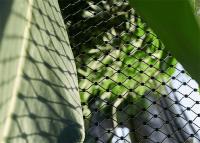 China 316L Ferrule Black Oxide Wire Rope Mesh Bird Wire Rope Netting 304L For Zoo for sale