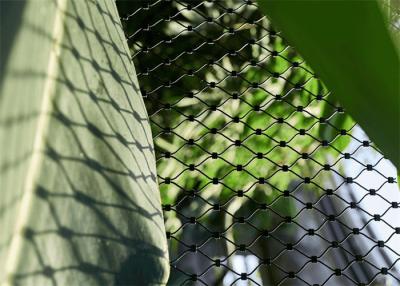 China 316L Ferrule Black Oxide Wire Rope Mesh Bird Wire Rope Netting 304L For Zoo for sale