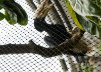 China Black Oxide Stainless Steel Mesh Panels AISI316 Cutomized Wire Mesh For Animal Enclosures for sale
