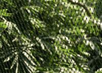 China X Tend Flexible Cable Mesh Ultrasonic Bath / Black Color Zoo Wire Cage Enclosures for sale