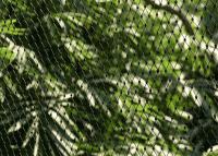 China Carson Stainless Steel Aviary Mesh 7x7  Black Oxide Wire Rope Mesh Non Rusting for sale