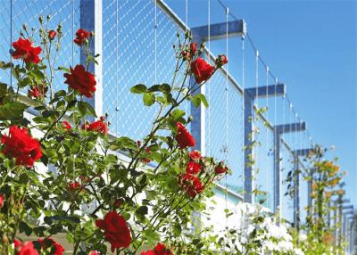 China Garden Decorative Rope Mesh Fence Woven 316L Home Outdoor For Fence Panel for sale
