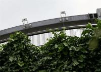 China 304L 316L Plant Climbing Net Support Mesh 60 Degree Stainless Steel Wall Plant for sale