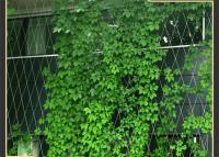 China Diamond Vegetable Plant Supporting Net Protection Ferruled Ultrasonic Bath for sale