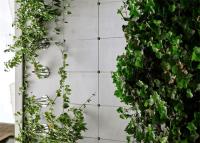 China Black Oxide Plant Trellis Netting 316L Stainless Steel Vegetable Mesh Netting CE for sale