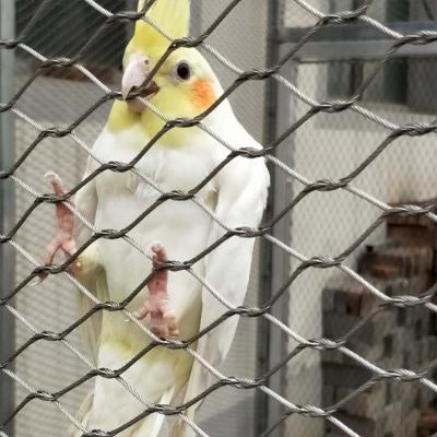 China Flexible Zoo Enclosure Mesh Hand Woven Flexible 304 SS Wire Rope Mesh Bird Netting for sale
