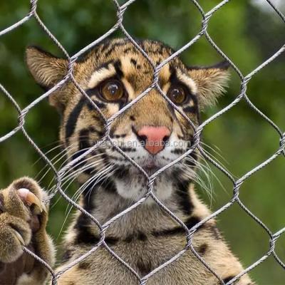 China Rhombus Zoo Enclosure Mesh 316 Stainless Steel / Ultrasonic Bath Animal Enclosure Fencing for sale