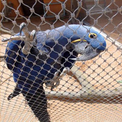 China 1.2mm 4.0mm SS 304 Wire Mesh Bird Mesh 60 Degree For Zoo Animal Enclosure for sale