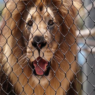 China 304 316 Stainless Steel Rodent Mesh X Tend , Welding Flexible Wire Lion Enclosure Mesh for sale