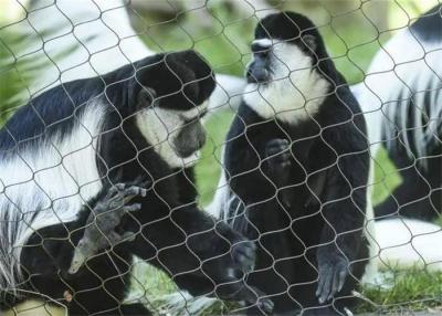 China 7X7 7×19 Wire Animal Enclosures Stainless Steel Zoo Metal Mesh For Facade Cladding for sale