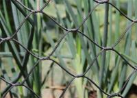 China Zoo Metal Stainless Steel Cable Mesh Ferruled Ultrasonic Bath Aviary Leopard Cable for sale