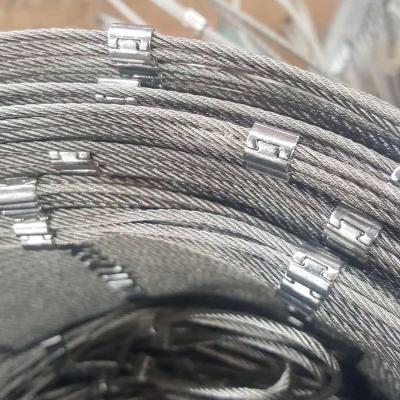 China AISI 7x7 Stainless Steel Cable Mesh Green Wall 1.2mm Diameter 304 316 for sale