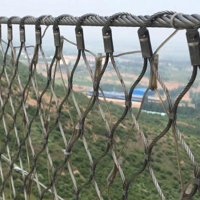 China 25*25mm Stainless Steel Cable Mesh 60 Degree Green Wall Wire Trellis System for sale