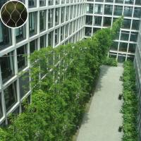 China Flexible Plant Climbing Net SS316 Green Wall  7X7 Wire Rope Plant Trellis for sale