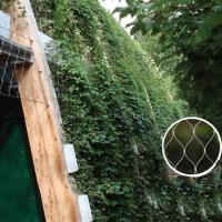 China Flexible Plant Climbing Net SS316 Green Wall  7X7 Wire Rope Plant Trellis for sale