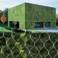 China Flexible Plant Climbing Net SS316 Green Wall  7X7 Wire Rope Plant Trellis for sale