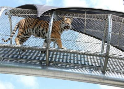 China Rhombus Animal Fence Netting 1.5mm 2.0mm Stainless Steel Security Mesh Outdoor for sale