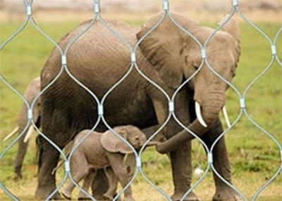 China AISI 304 Animal Fence Netting 316 Stainless Steel Diamond Mesh For Zoo for sale