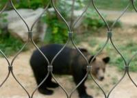 China 316L Animal Fence Netting 7X7 Flexible Stainless Steel Rhombus Bird Protection Netting for sale