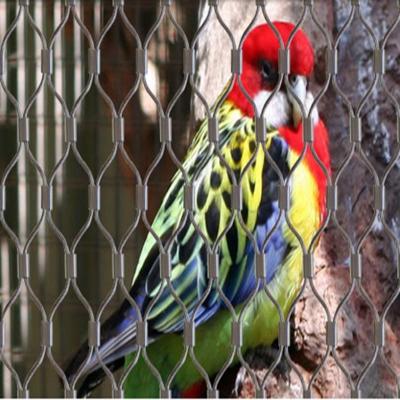 China 1/8 inch Animal Fence Netting Ultrasonic Bath / Stainless Steel Zoo Knotted Bird Wire Mesh for sale