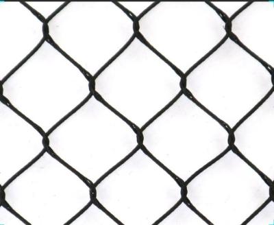 China Ferruled Black Oxide Wire Rope Mesh 7X19 Rhombus Security Mesh Fencing Stainless Steel for sale