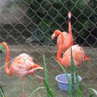 China 300x300mm Stainless Steel Aviary Mesh 304 316 316l High Strength for sale