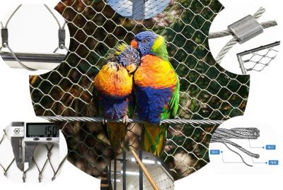 China 300x300mm Stainless Steel Aviary Mesh 304 316 316l High Strength for sale