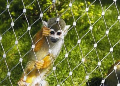 China AISI Stainless Steel X Tend Mesh 316 304 Animal Mesh Fencing flexible for sale