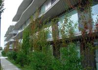 China 304 316 Green Garden Mesh Netting Architectural Facade 1.2mm Stainless Steel Trellis System for sale
