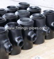 China Astm A312 Tp316 Tp316l Stainless Steel Reducing Tee 2