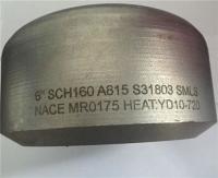 China Asme B16.9 Stainless Steel Pipe Fittings Cap Buttweld 24 Inch for sale