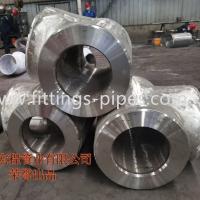 China Asme B16.9 Carbon Steel Tee 1/2