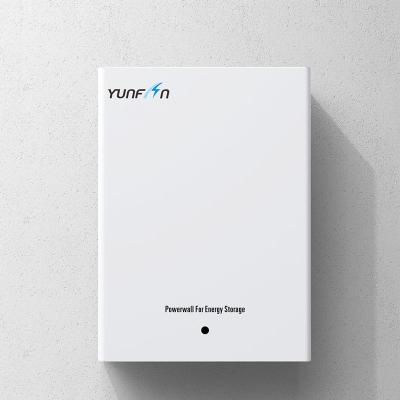 China 5KWh Wall Mounted LiFePO4 Battery 51.2V 100AH with 6000 Cycles and IP54 Protection for Solar Systems for sale