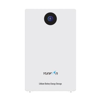China PowerWall Pro 51.2V 200Ah Wall-Mounted Lithium Battery for Solar Energy Storage Systems for sale