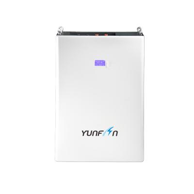 China 51.2V 200Ah Powerwall Lithium Battery with Over Discharge Protection - 10240Wh Energy Storage for Solar Backup for sale