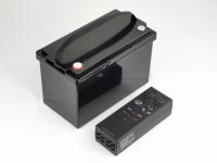 China 24V 120Ah Lithium Ion Golf Cart Battery Customizable Bluetooth WiFi 6000 Cycles for sale