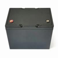 China 12V 60Ah LiFePO4 Electric Car Battery with BMS and IP55 Waterproof Protection - 2000+ Cycles 10kg Weight for sale