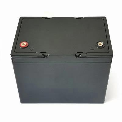 China 12V 60Ah LiFePO4 Electric Car Battery with BMS and IP55 Waterproof Protection - 2000+ Cycles 10kg Weight for sale
