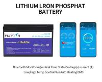 China 12V 30Ah LiFePO4 Solar Power Battery Pack with 5000+ Cycles and IP55 Protection for RV Golf Cart Applications for sale