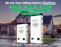 China 48V Wall-Mounted Lithium Ion Battery System 5120Wh 5000W Pure Sine Wave All-in-One Energy Storage for sale