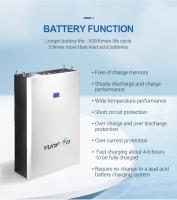 China 51.2V 200Ah Wall Mounted Solar Battery 10KWh LiFePO4 Powerwall with Display - 780×556×196mm for sale