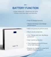 China 51.2V 100Ah 5.12kWh Wall Mounted LiFePO4 Solar Battery with 6000 Cycles and 20-Year Life for sale