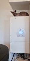 China Deye 10kW Three Phase Hybrid Inverter SUN-10K-SG04LP3-EU 48V with AC Couple for Existing Solar System for sale