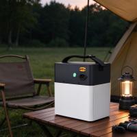 China 1kWh LiFePO4 portable power station 500W pure sine wave solar backup power with built in MPPT charge controller for home emergency off grid camping power supply for sale