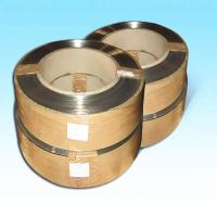 China DIN 1.4401 Stainless Steel Spring Strip 316L 0.1mm-3mm Cold Rolled Coil for sale
